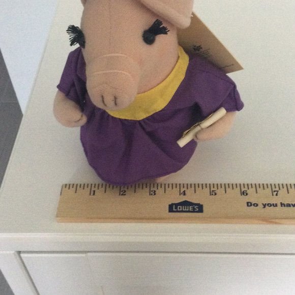 Party Supplies | Graduation Graduate Plush Pig With Diploma | Poshmark